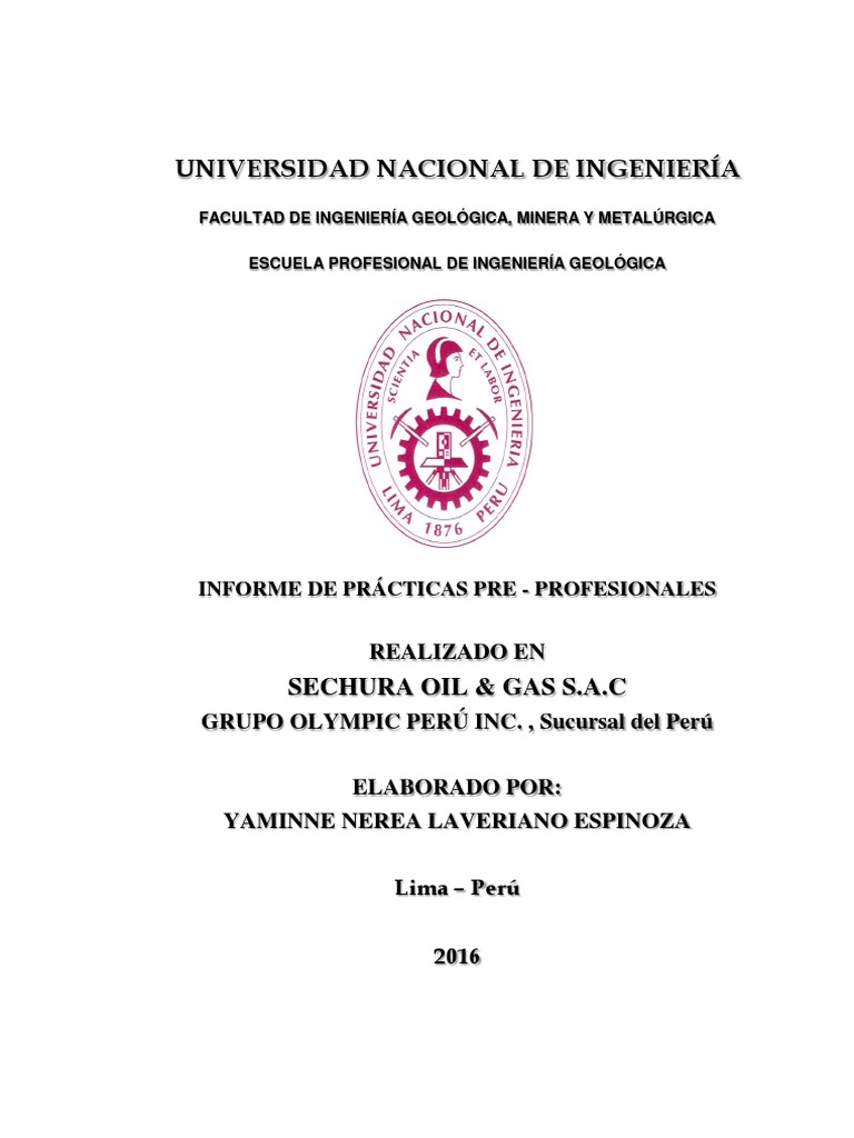 Informe de Pract y L e | PDF | Depósito de petróleo | Petróleo