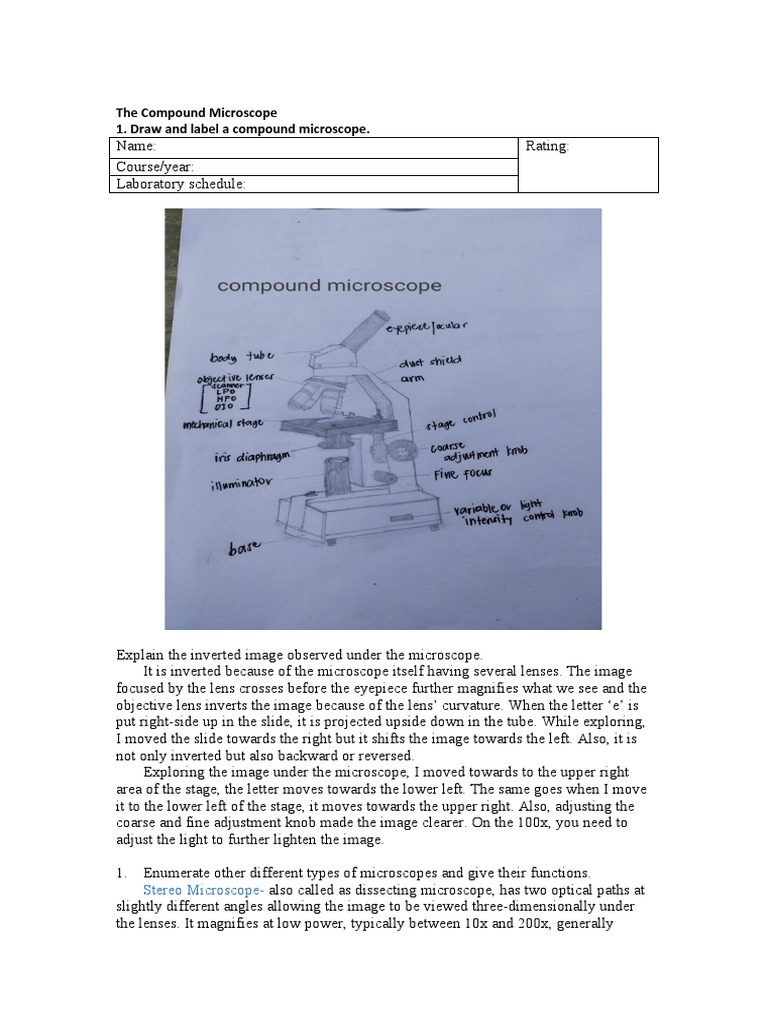 Act 2 Bot Lab | PDF | Transmission Electron Microscopy | Scientific ...