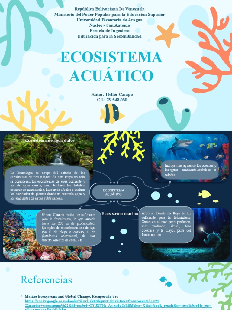 Ejemplos de Ecosistemas Acuáticos | PDF | Ecosistema | Mar