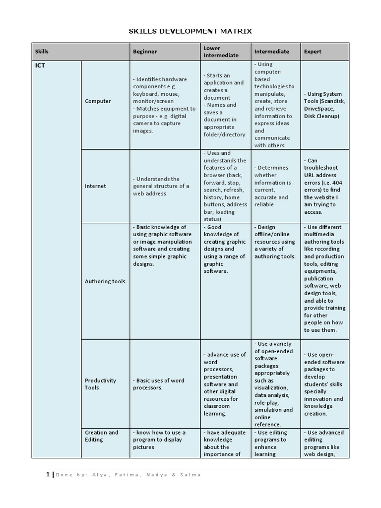 Skills Development Matrix | PDF | Educational Technology | Fluency