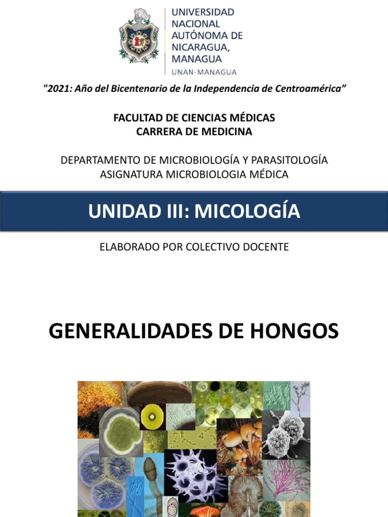 Generalidades de Hongos | PDF | Hongo | Eucariotas
