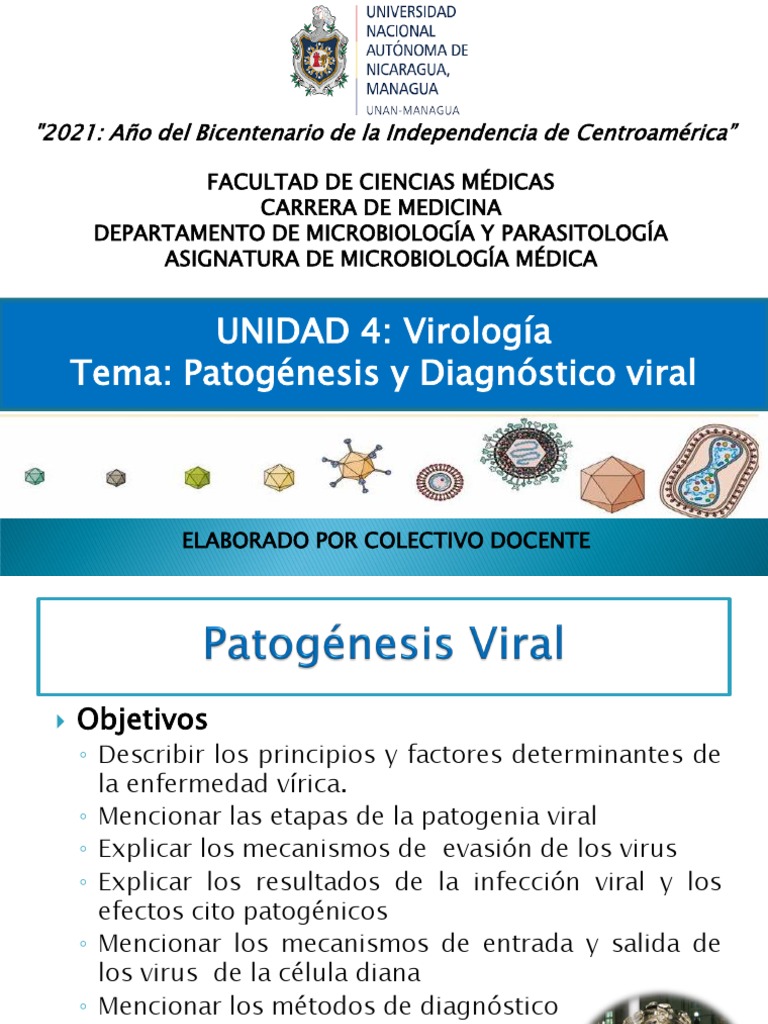 Patogénesis y Diagnóstico viral | PDF | Virus | Sistema inmune