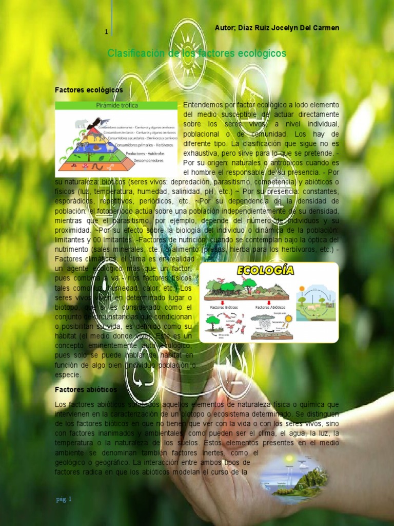 Clasificación de Los Factores Ecológicos | PDF | Suelo | Agua