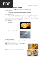 Orange Fizz Experiment | PDF