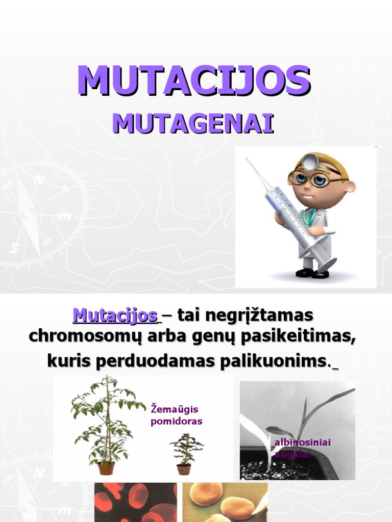 5 - 11-A - Mutacijos, Mutagenai | PDF