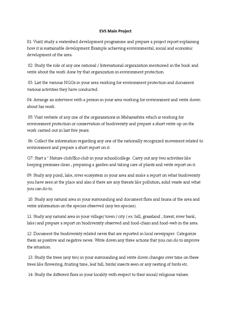 EVS Main Project | PDF