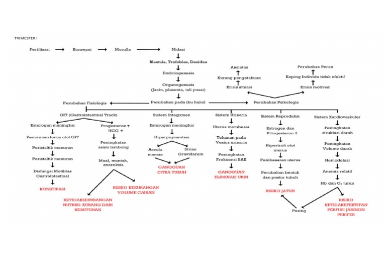 Pathway Trimester I | PDF