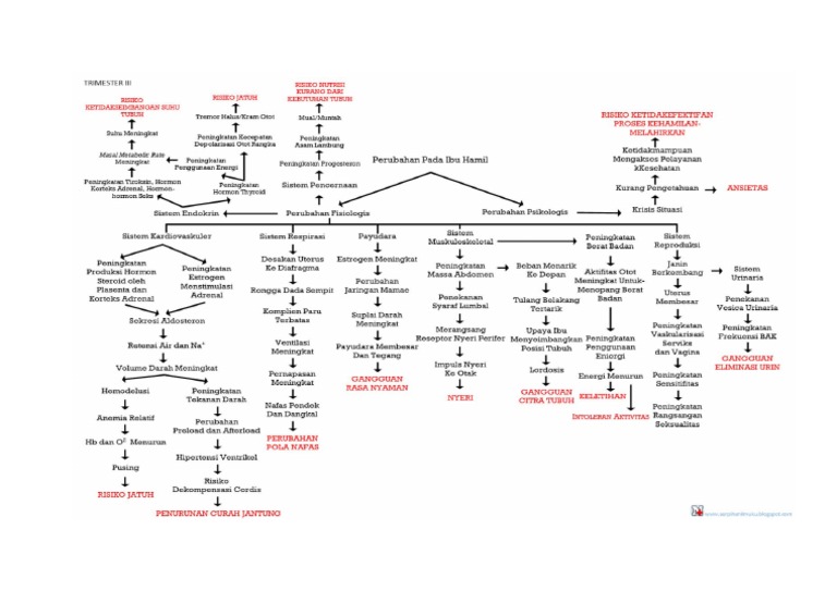 Pathway Trimester III | PDF