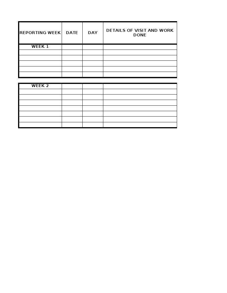 Reporting Day Summary and Plans | PDF