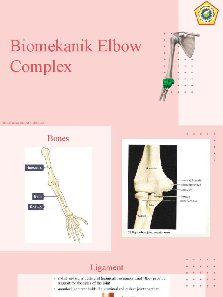 Biomekanik Elbow | PDF