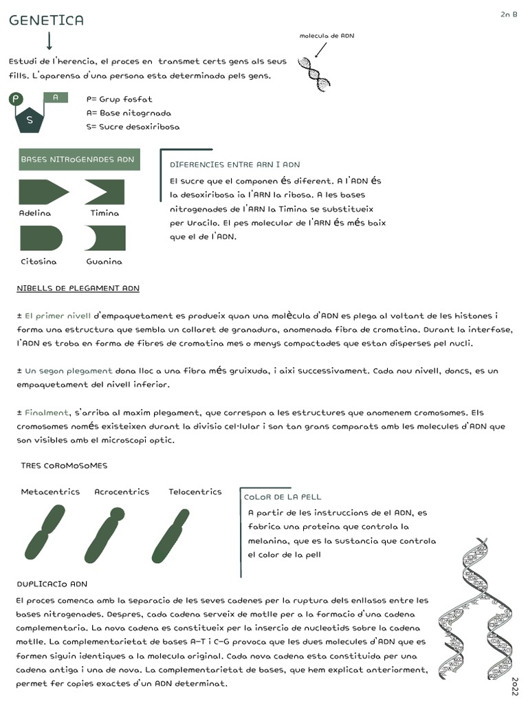 Apunts Bio I Geo | PDF