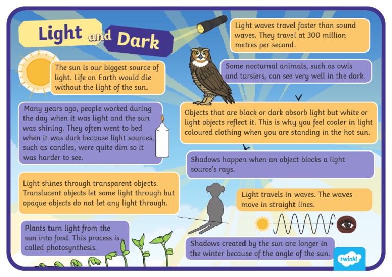 Fun Facts About Light and Shadows | PDF | Science & Mathematics