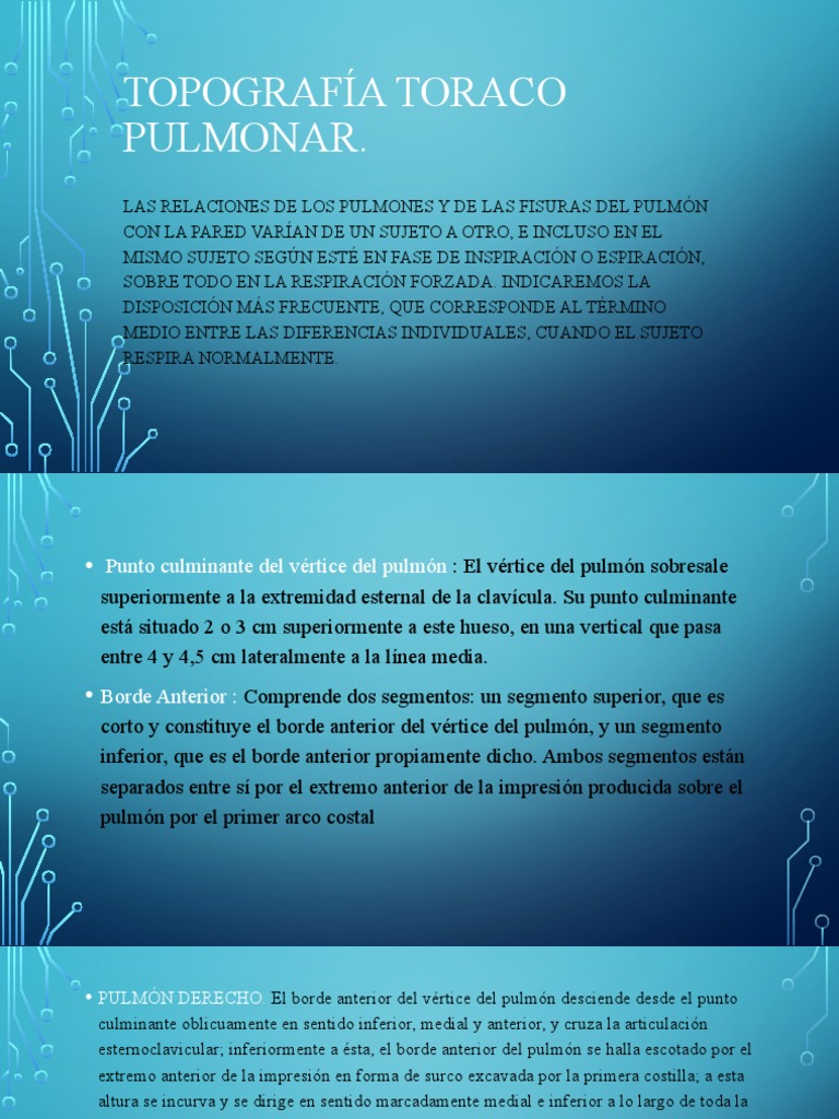 Topografía Toraco Pulmonar | PDF | Anatomía | Sistema musculoesquelético