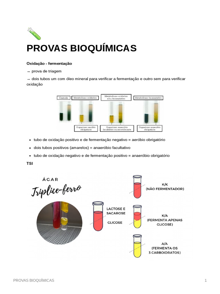 Provas Bioqumicas | PDF | Fermentação | Aminoácido