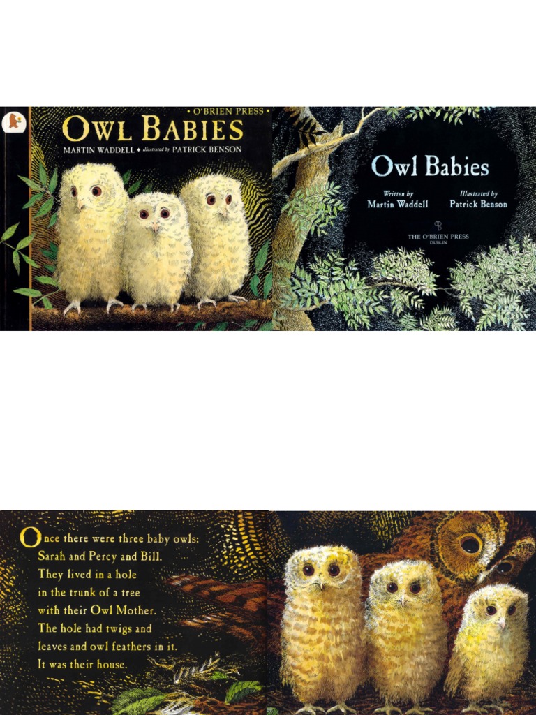 Owl Babies | PDF