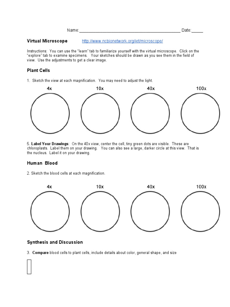 task-1-MICROSCOPE Worksheet | Download Free PDF | Microscope | Optics