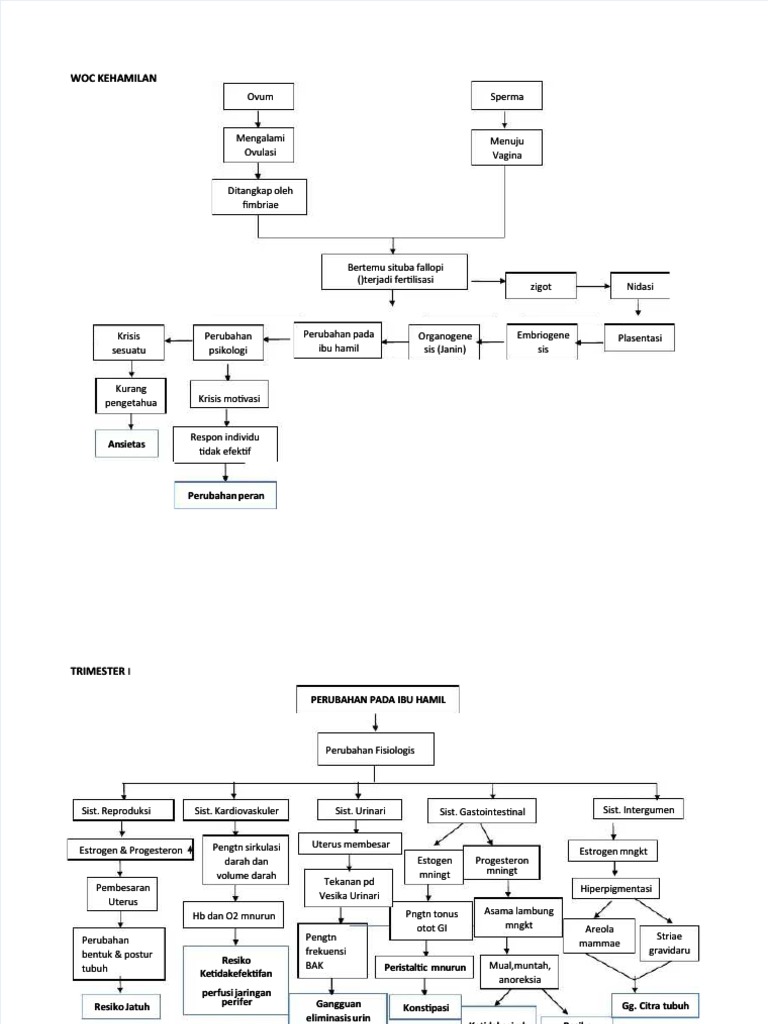 Laporan Woc Anc Pdf