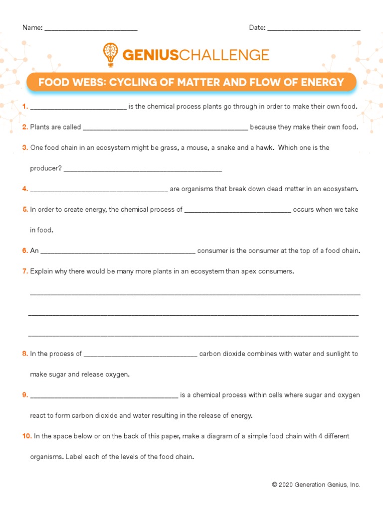 GG Food Webs Quiz | PDF