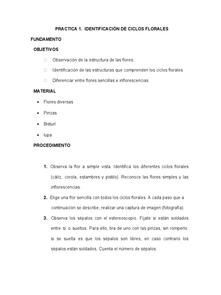 Practica - 1 - Identificacion Floral | PDF | Flores | Ramas de la botánica