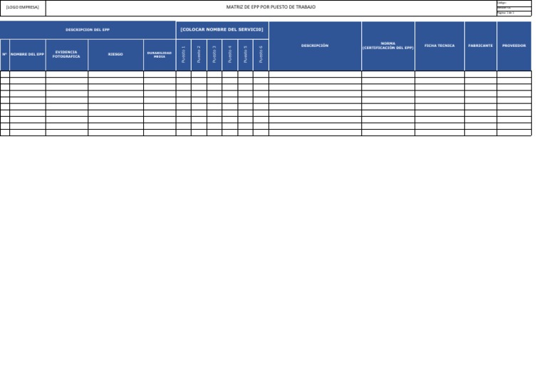 Matriz de EPPS | PDF
