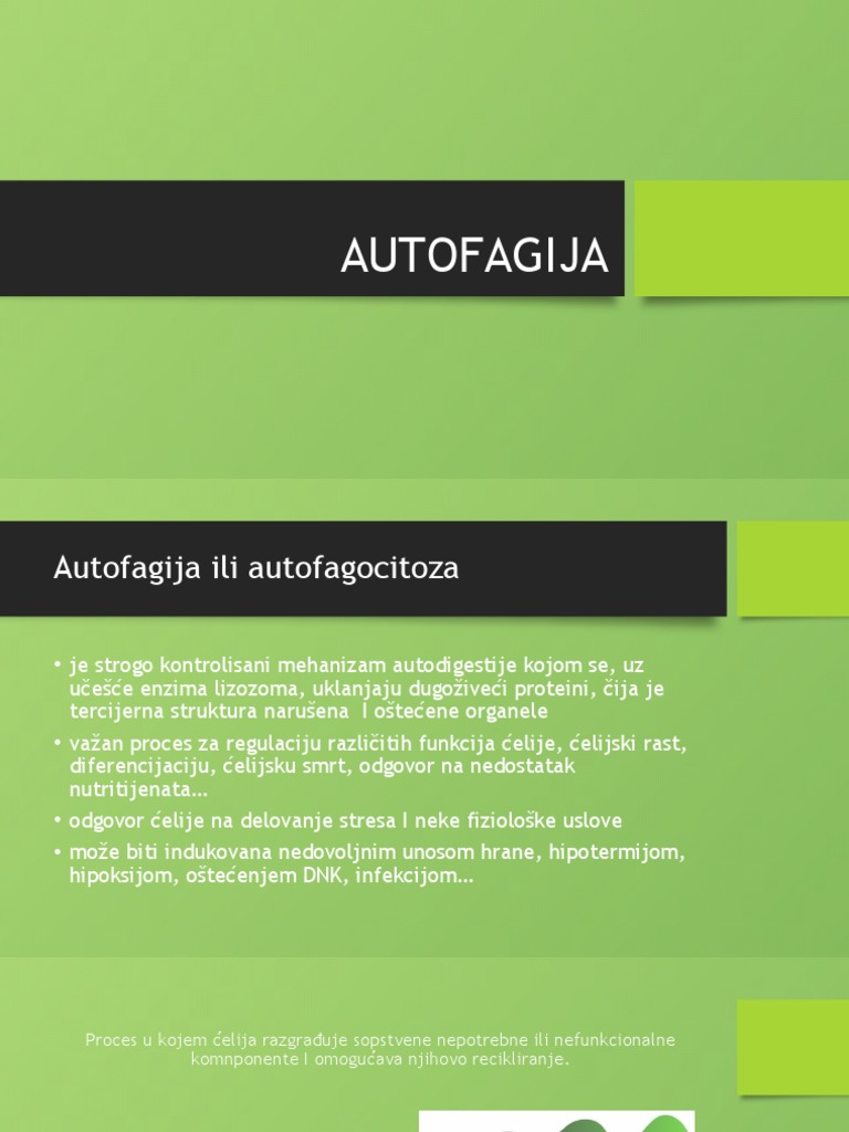 AUTOFAGIJA | PDF