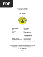Jurnal Uji IMPAK | PDF