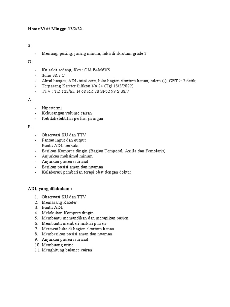 Laporan Home Visit | PDF