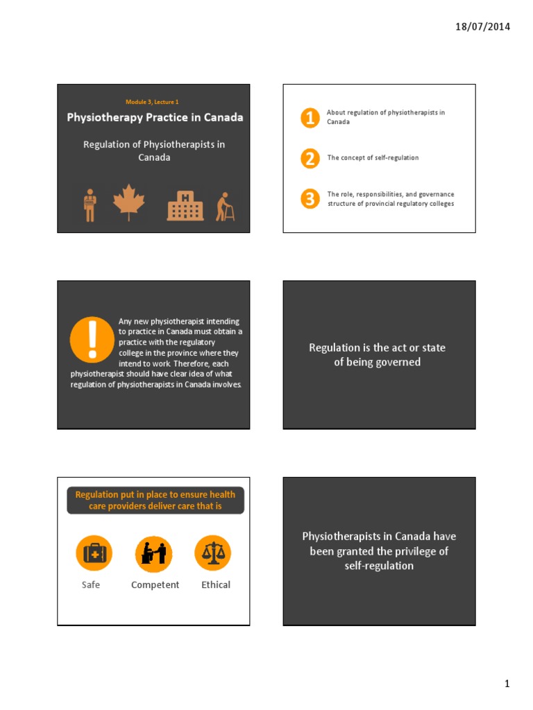 Regulation of Physiotherapists in Canada: An Overview of Self ...