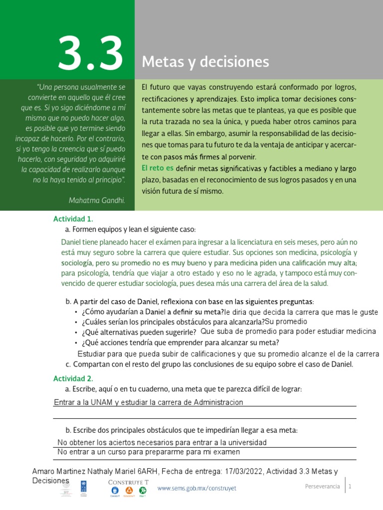 3.3 Metas y Desiciones | PDF