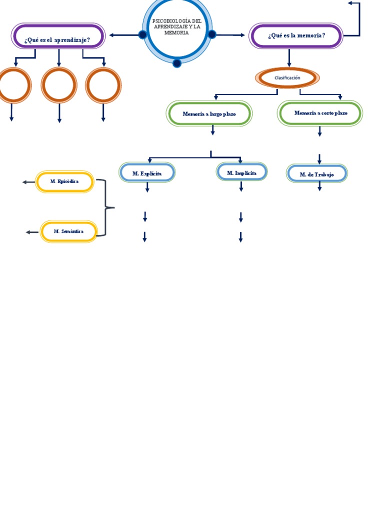 Mapa Conceptual 1 | PDF