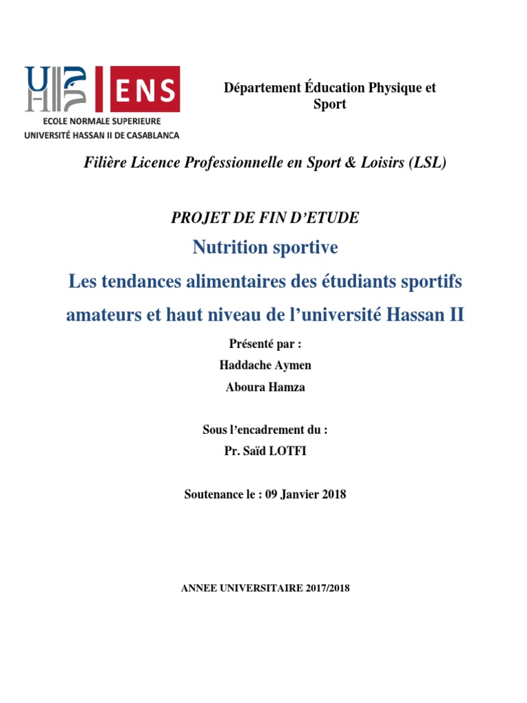 Memoire Final Pdf