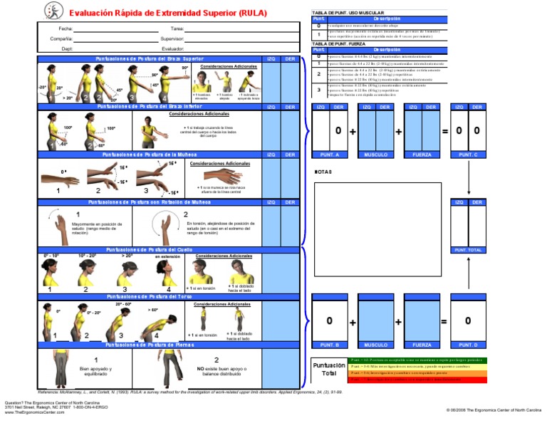 RULA Form | PDF | Extremidades (anatomía) | Sistema musculoesquelético