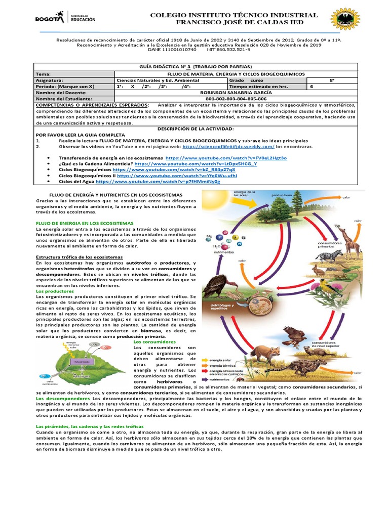 Ciclos biogeoquímicos y flujo de energía en ecosistemas | PDF | Red ...