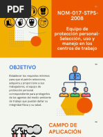 Nom 017 STPS 2008 | PDF