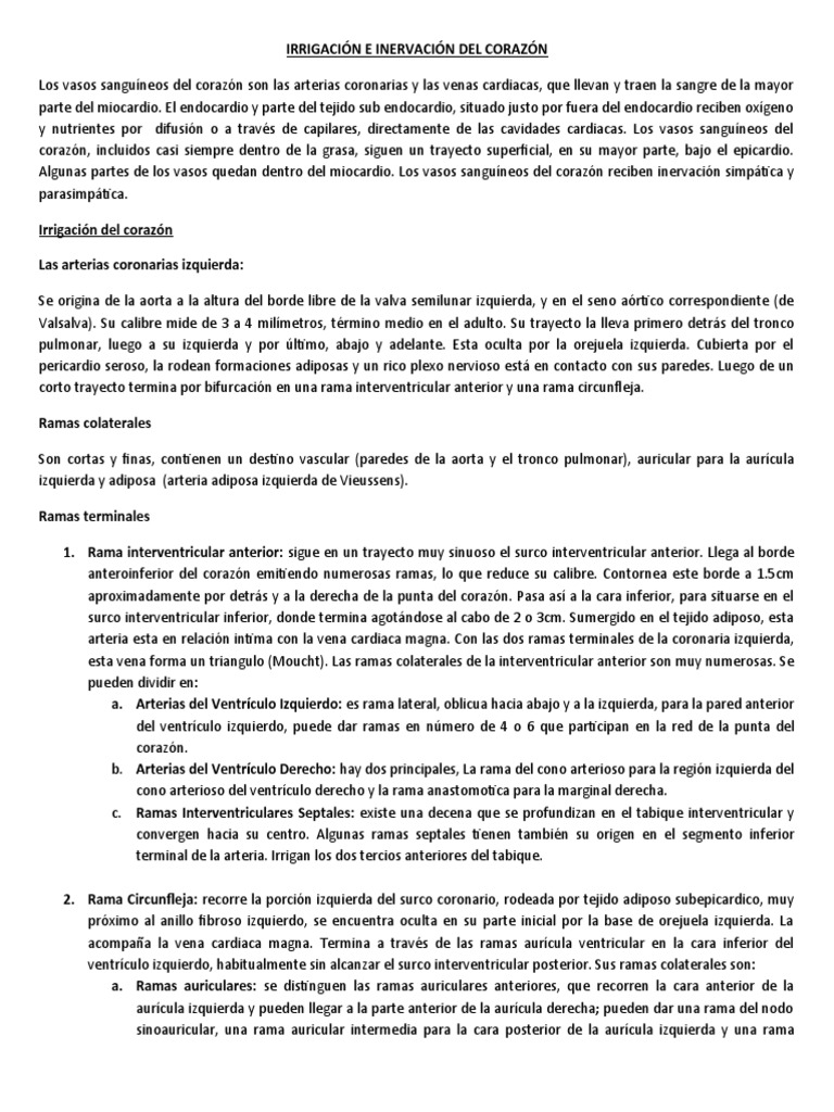 Irrigacion en Inervacion Del Corazon P3 Anatomia | PDF | Corazón | Aorta