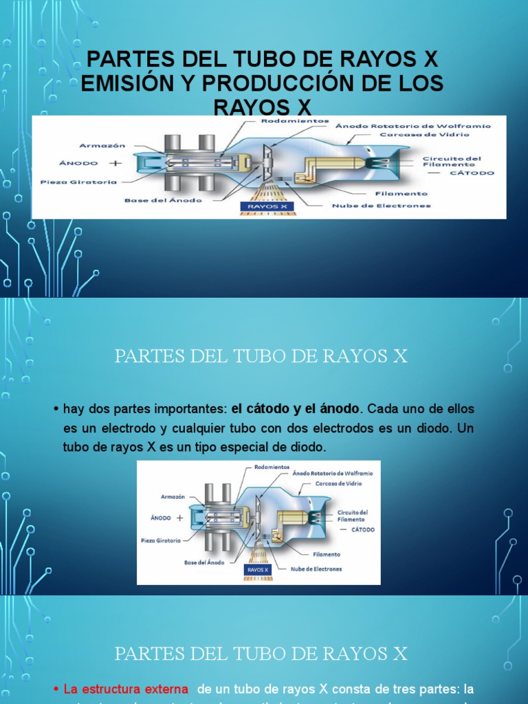 Partes y Funciones del Tubo de Rayos X | PDF | Rayo X | Electrón
