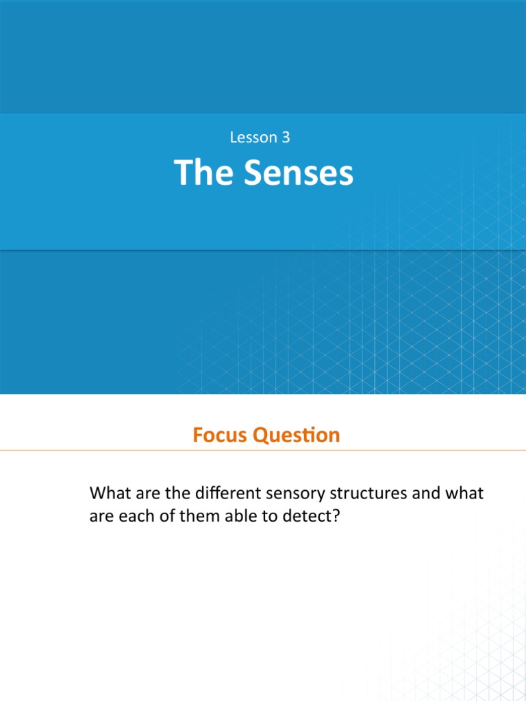 CA Lesson 03 The Senses | PDF | Ear | Hearing