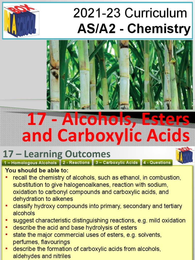 17 - Alcohols, Esters and Carboxylic Acids | PDF | Alcohol | Ester