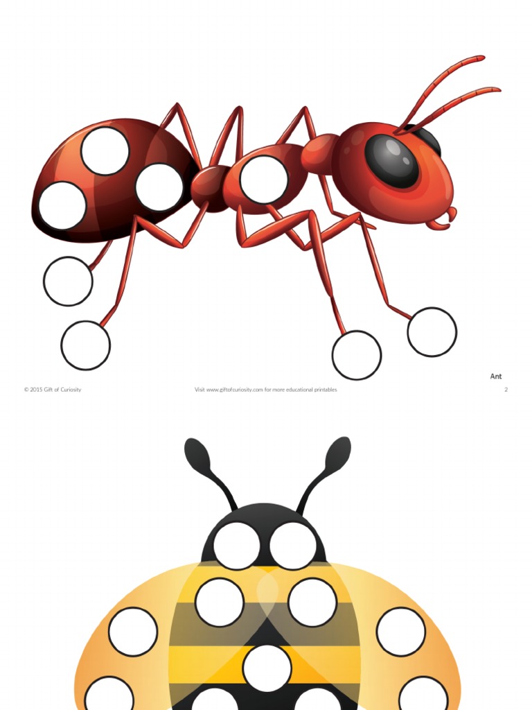 Fise de Colorat Lucru Insecte | PDF
