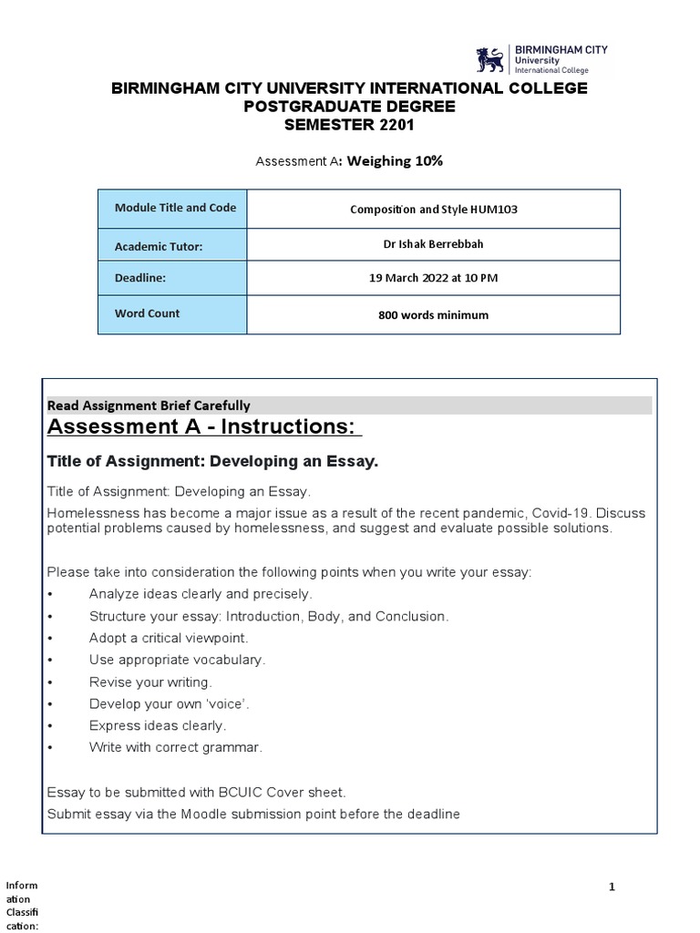 Composition and Style Assessment Brief | PDF | Essays | Communication