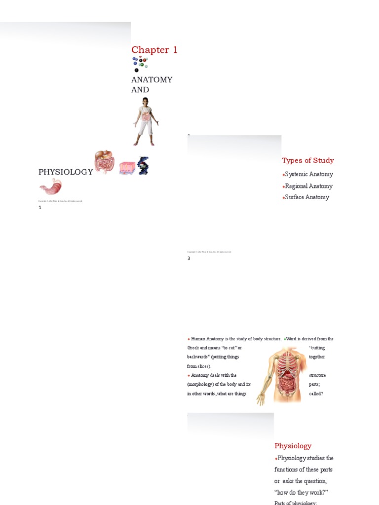 Chapter 1 - Study of Anatomy and Physiology | PDF | Anatomical Terms Of ...