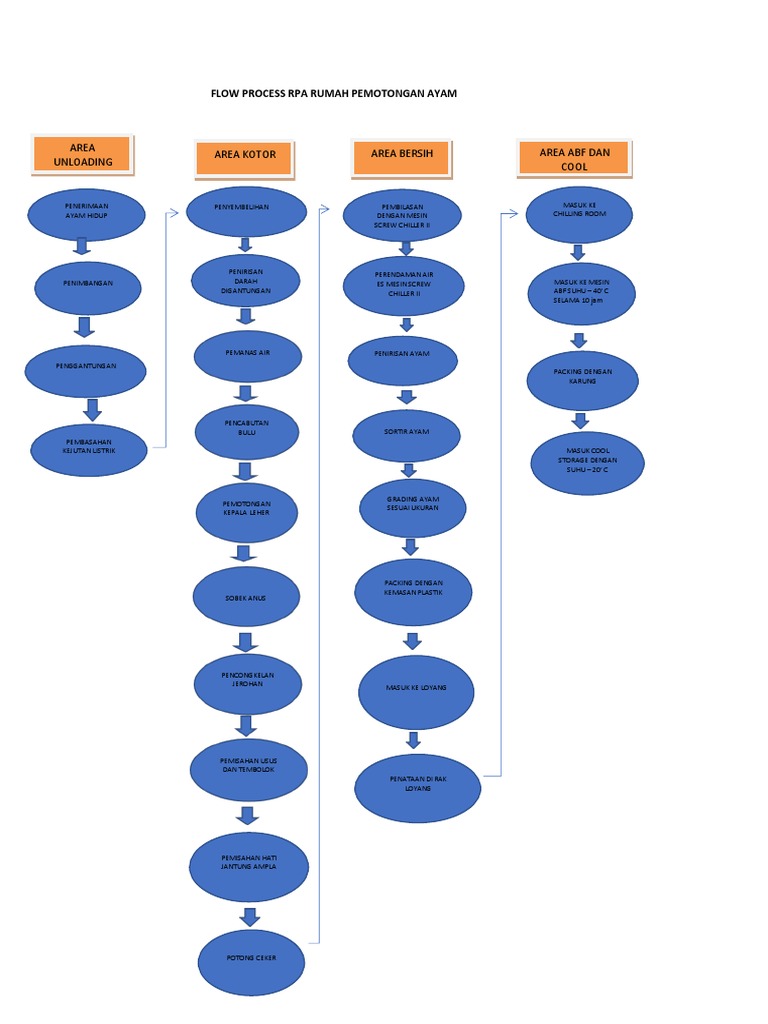 Flow Process Rpa | PDF