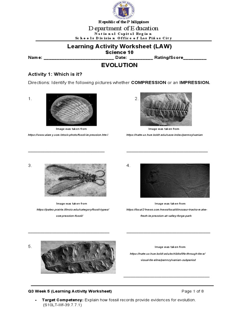 Department of Education: Learning Activity Worksheet (LAW) Evolution ...