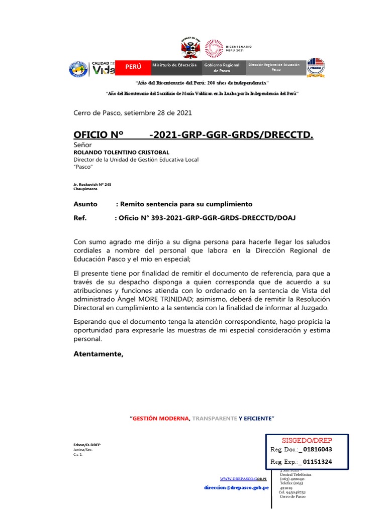 Estructura Del Oficio | PDF | Perú | América del Sur