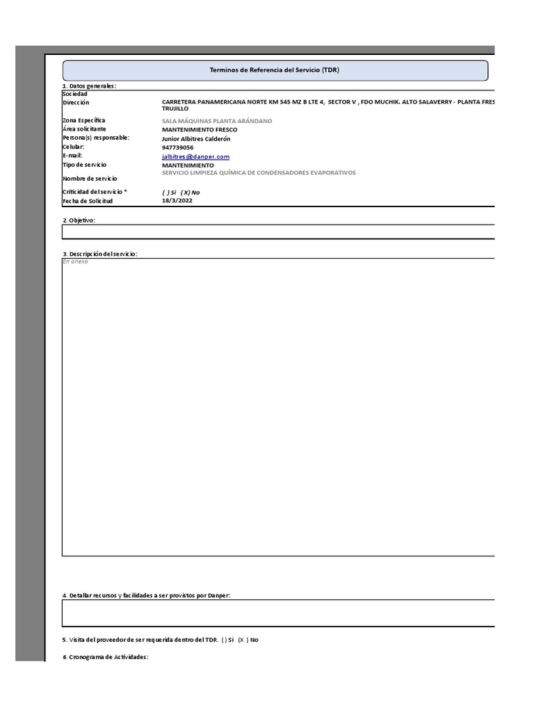 Formato de TDR | PDF | Business | Economias