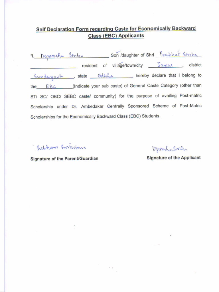 Self Declaration Certificate | PDF