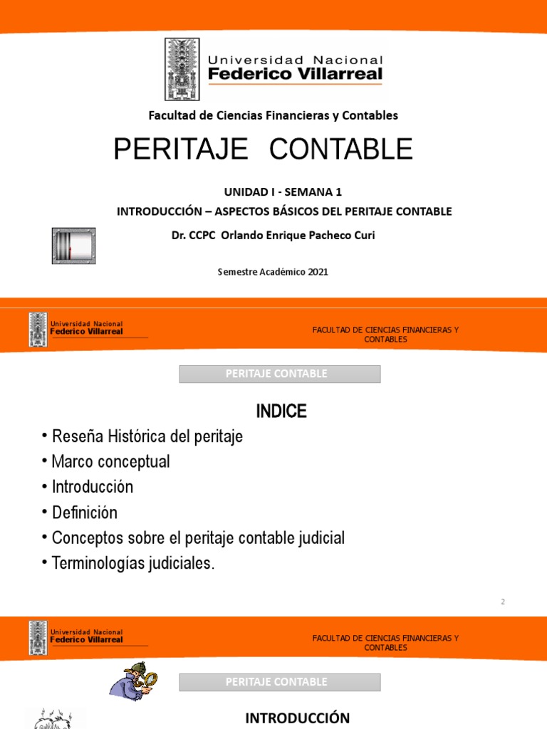 S1 Introduccion y Aspectos Basicos Del Peritaje Contable | PDF