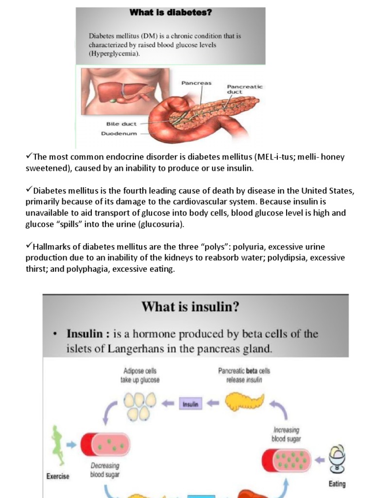 Diabetes Mellitus | PDF
