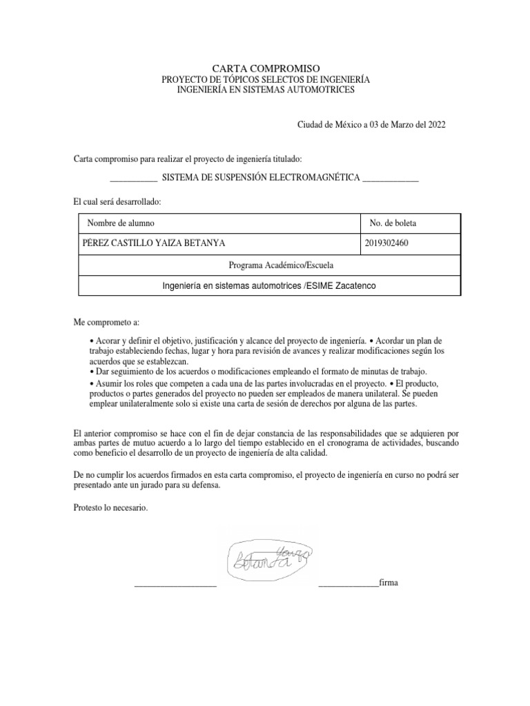 Carta Compromiso TSI | PDF