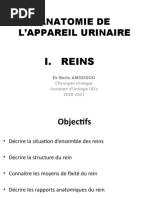 Anatomie de la Loge Rénale et Pédicule | PDF | Péritoine | Rein